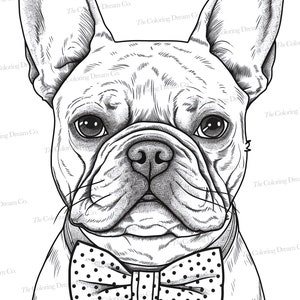 French Bulldog Coloring Book, Frenchies, Printable Coloring Pages ...