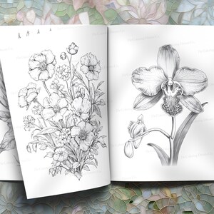 Botanical Flowers Coloring Book, Beautiful Flowers Coloring Page ...