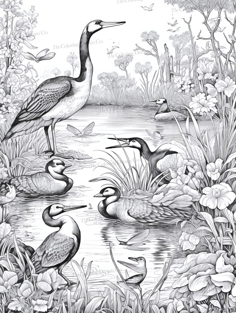 Exotic Birds Coloring Book Tropical Birds Printable Coloring - Etsy