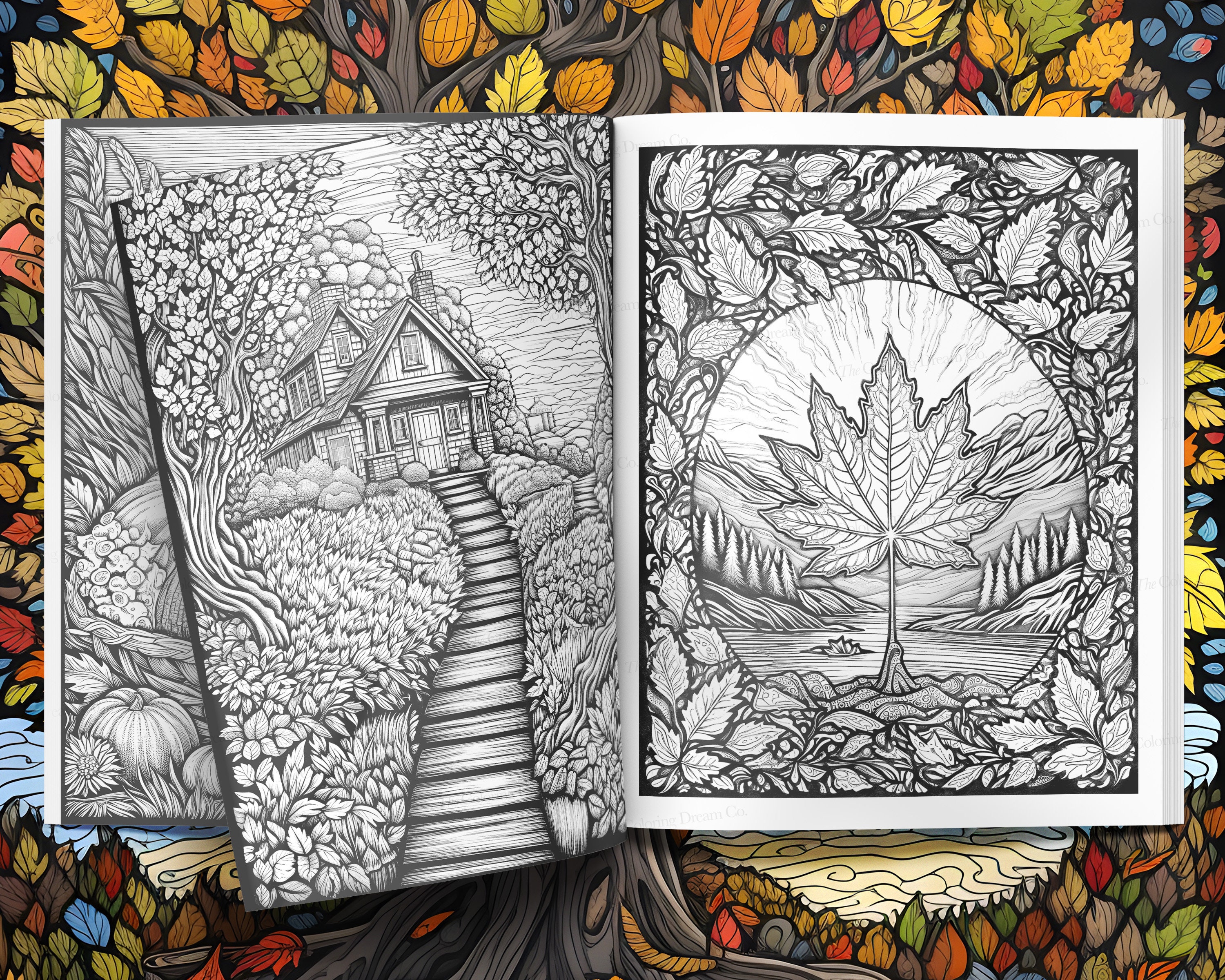 The Colors of Fall: Whimsical Coloring Book, Autumn Landscapes ...