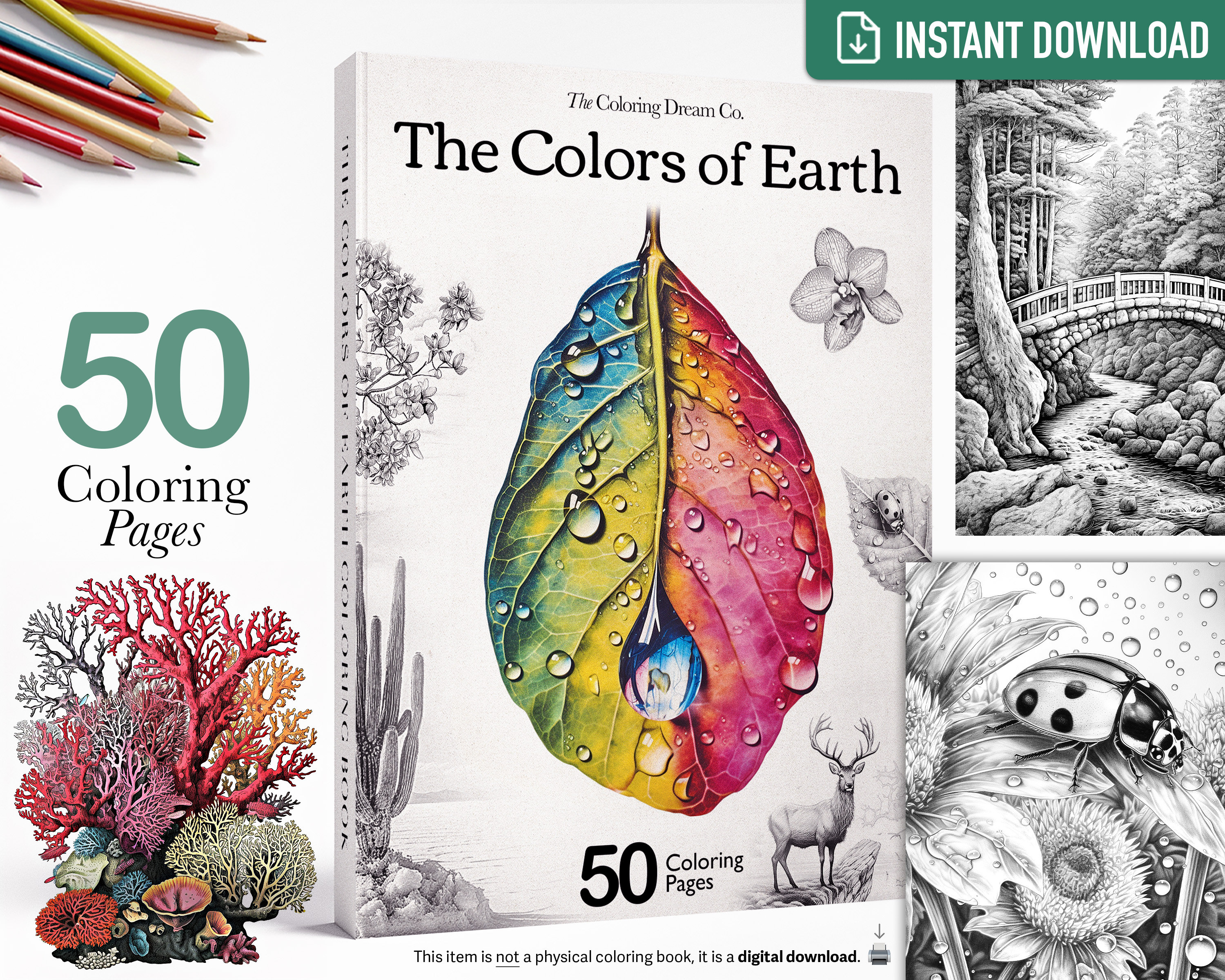 The Colors of Earth: Nature Landscapes Coloring Book, Flowers Coloring ...