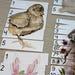 Nature Letter Matching Cards, Alphabet Recognition Activity, Montessori ...