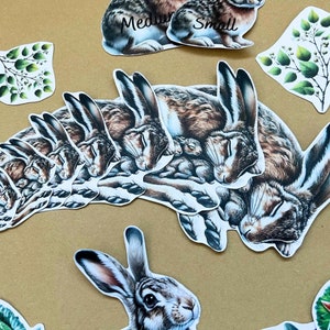 Forest Hare Size Sorting Activity, Woodland Rabbit Learning Sizes, Sort ...