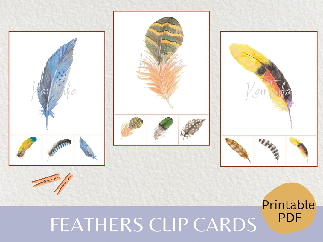 Feathers Clip Cards, Toddler Sorting Activity, Preschool Matching Game ...