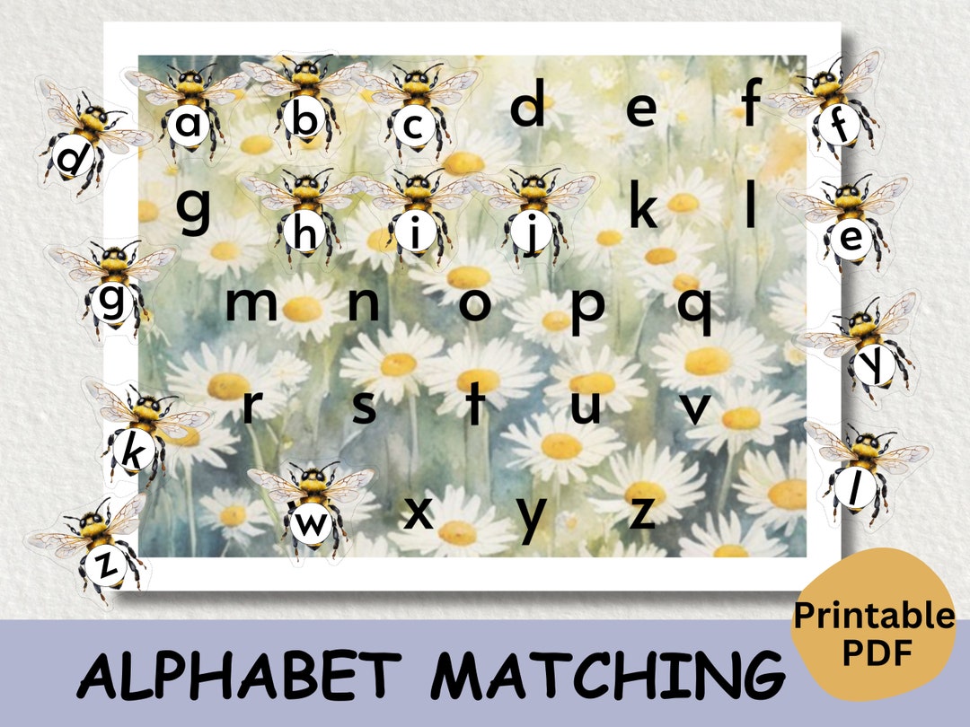 Insect Letter Matching Cards, Alphabet Recognition Activity, Montessori ...