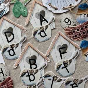 Spring Birds Matching Sorting Activity Pack, Spring Learning Worksheets ...