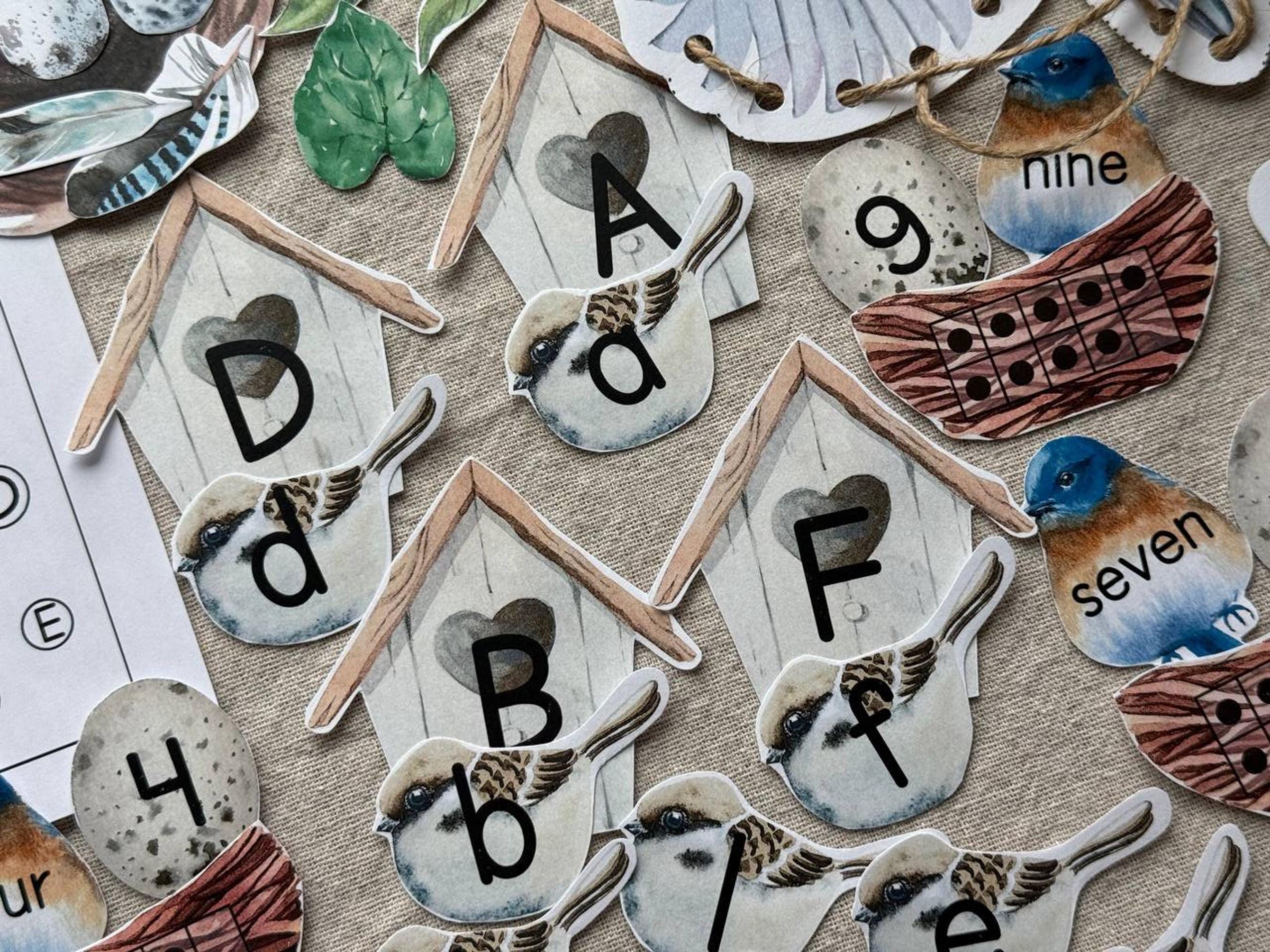 Spring Birds Matching Sorting Activity Pack, Spring Learning Worksheets ...