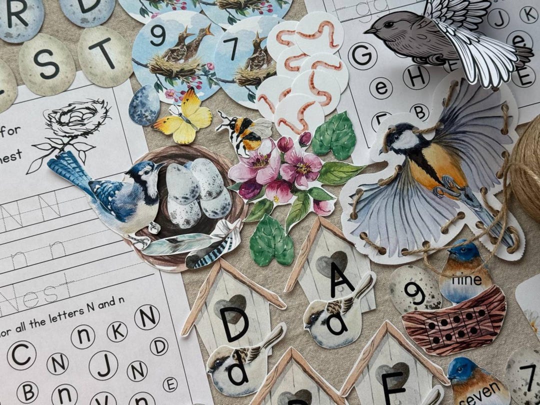 Spring Birds Matching Sorting Activity Pack, Spring Learning Worksheets ...