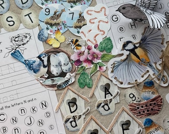 Birds Activity Bundle - Etsy