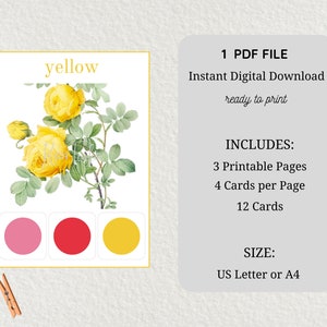 Colors Clip Cards, Colors Learning, Toddler Sorting Activity, Preschool ...