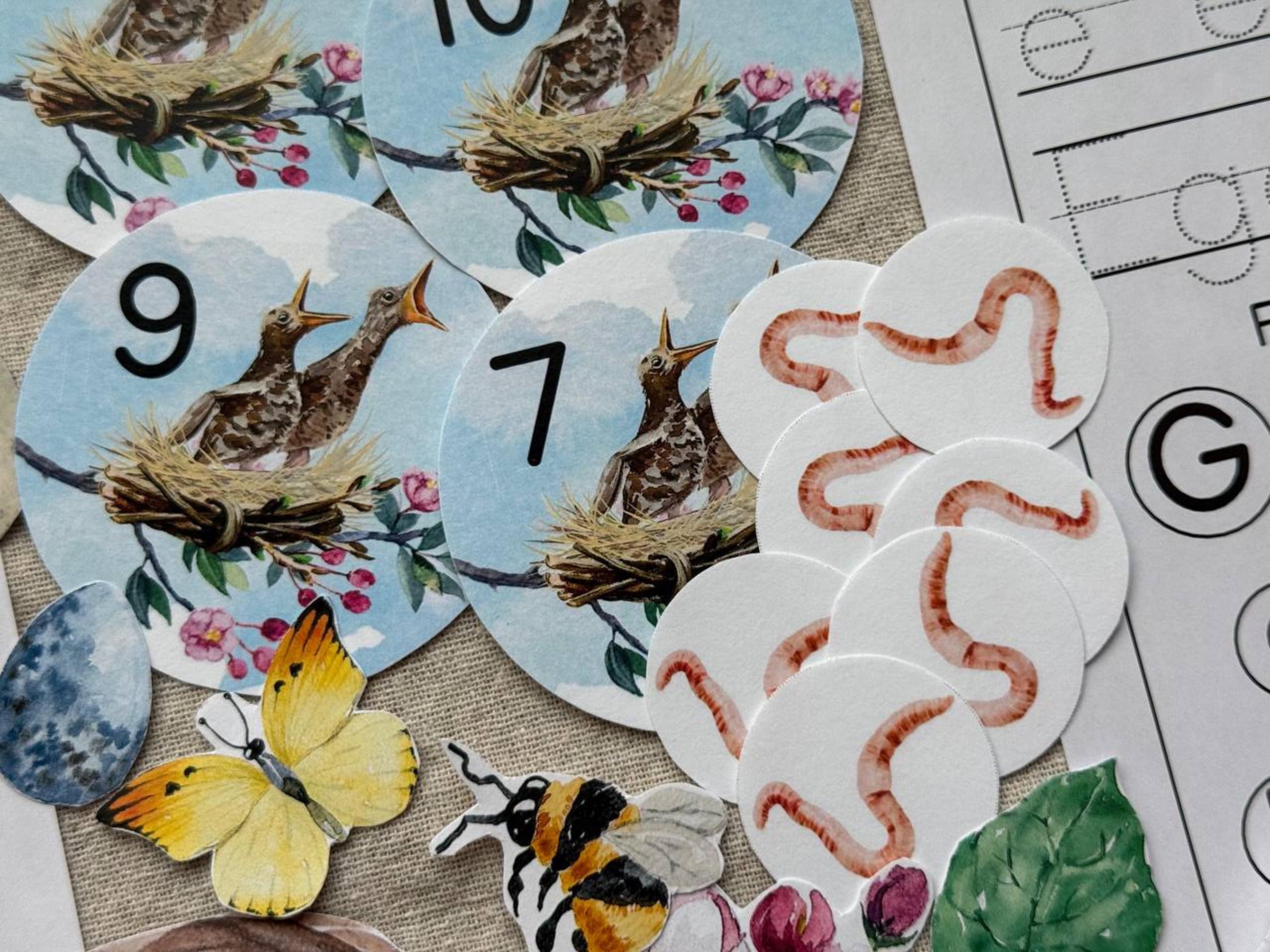 Spring Birds Matching Sorting Activity Pack, Spring Learning Worksheets ...