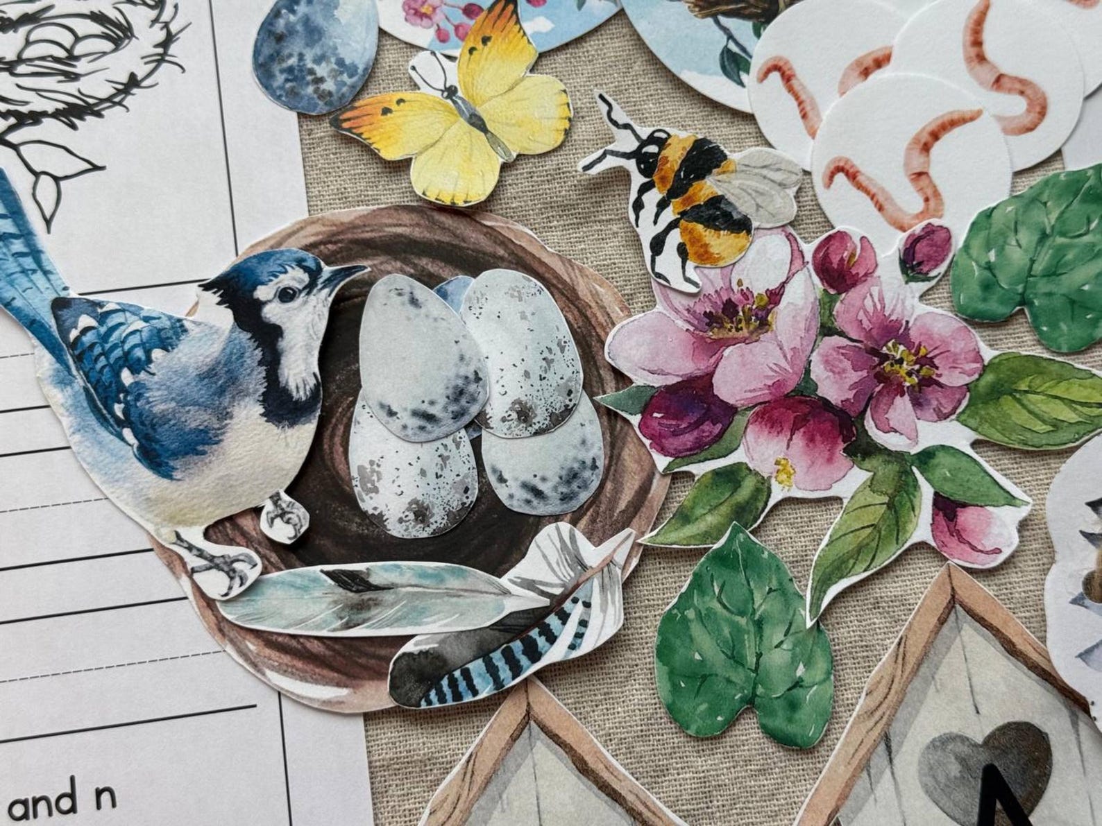 Spring Birds Matching Sorting Activity Pack, Spring Learning Worksheets ...