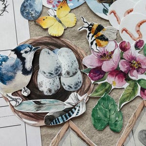 Spring Birds Matching Sorting Activity Pack, Spring Learning Worksheets ...
