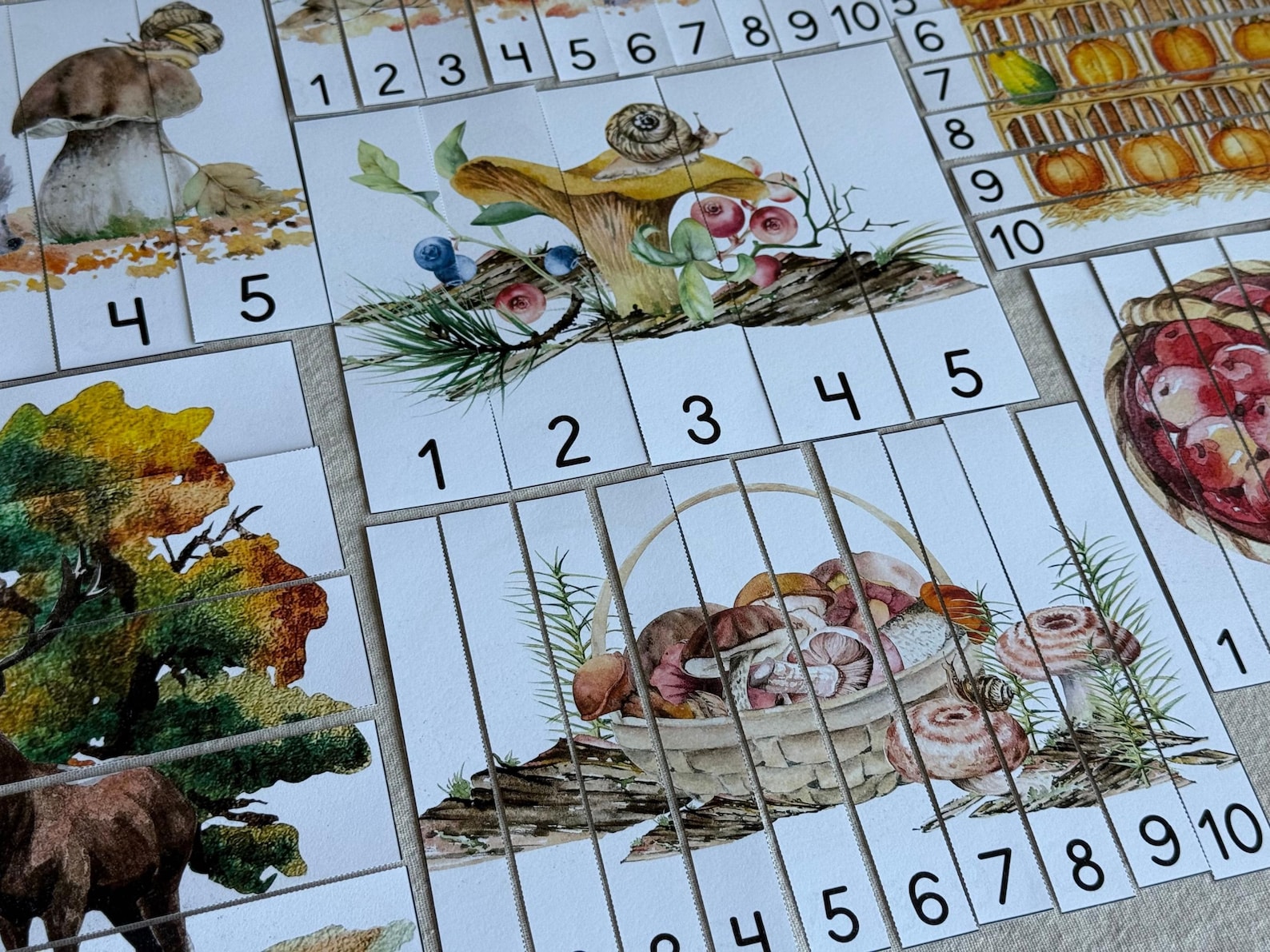 Autumn Fall Number Sequence Math Puzzles, Numbers 1-5, Numbers 1-10 ...
