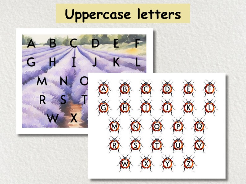 Insect Letter Matching Cards, Alphabet Recognition Activity, Montessori ...