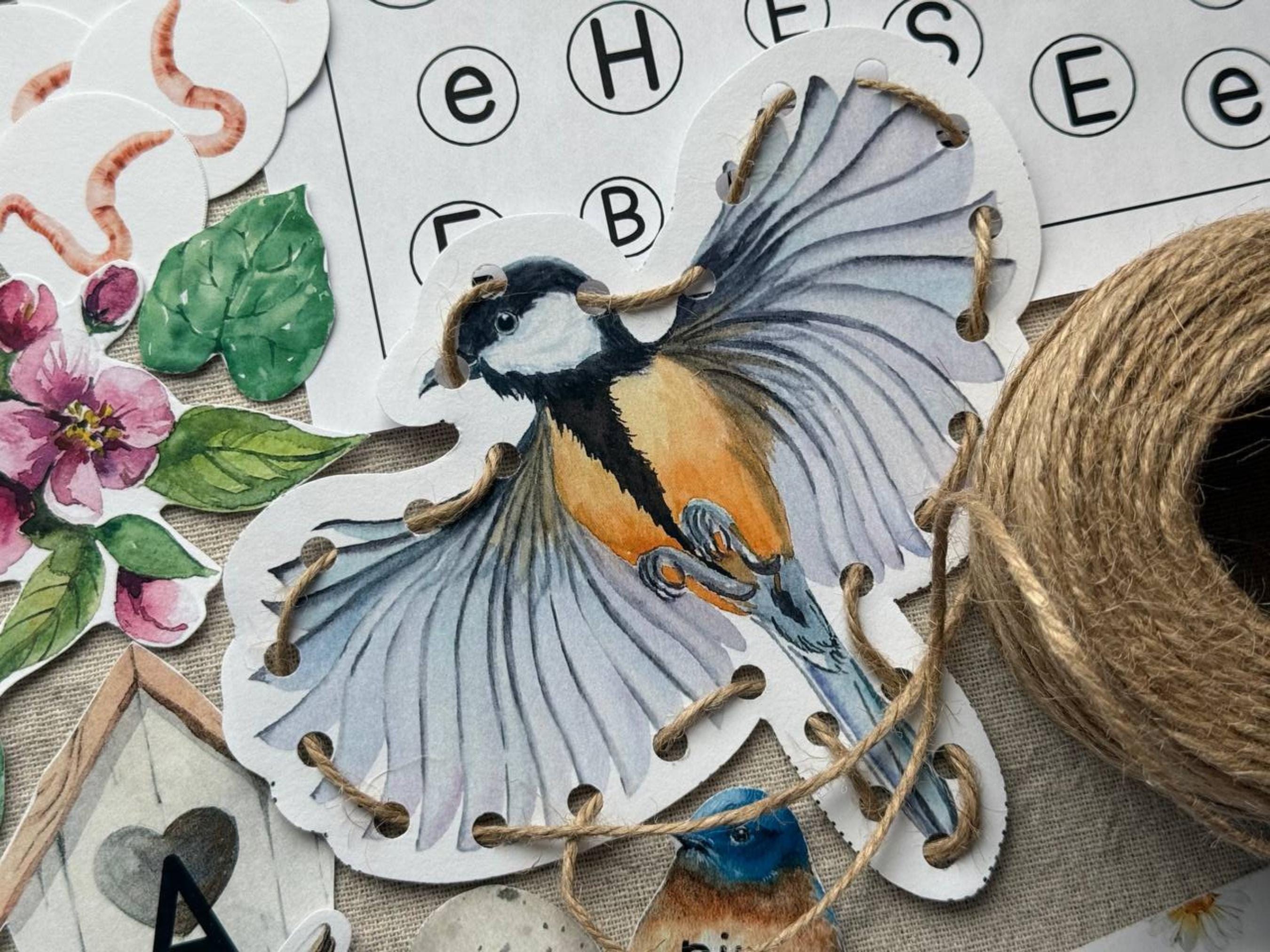 Spring Birds Matching Sorting Activity Pack, Spring Learning Worksheets ...