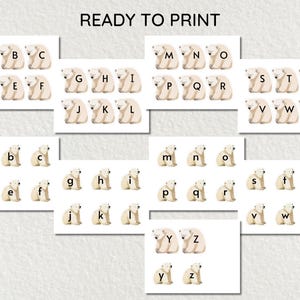 Polar Bear Letter Matching Cards, Alphabet Recognition Activity ...