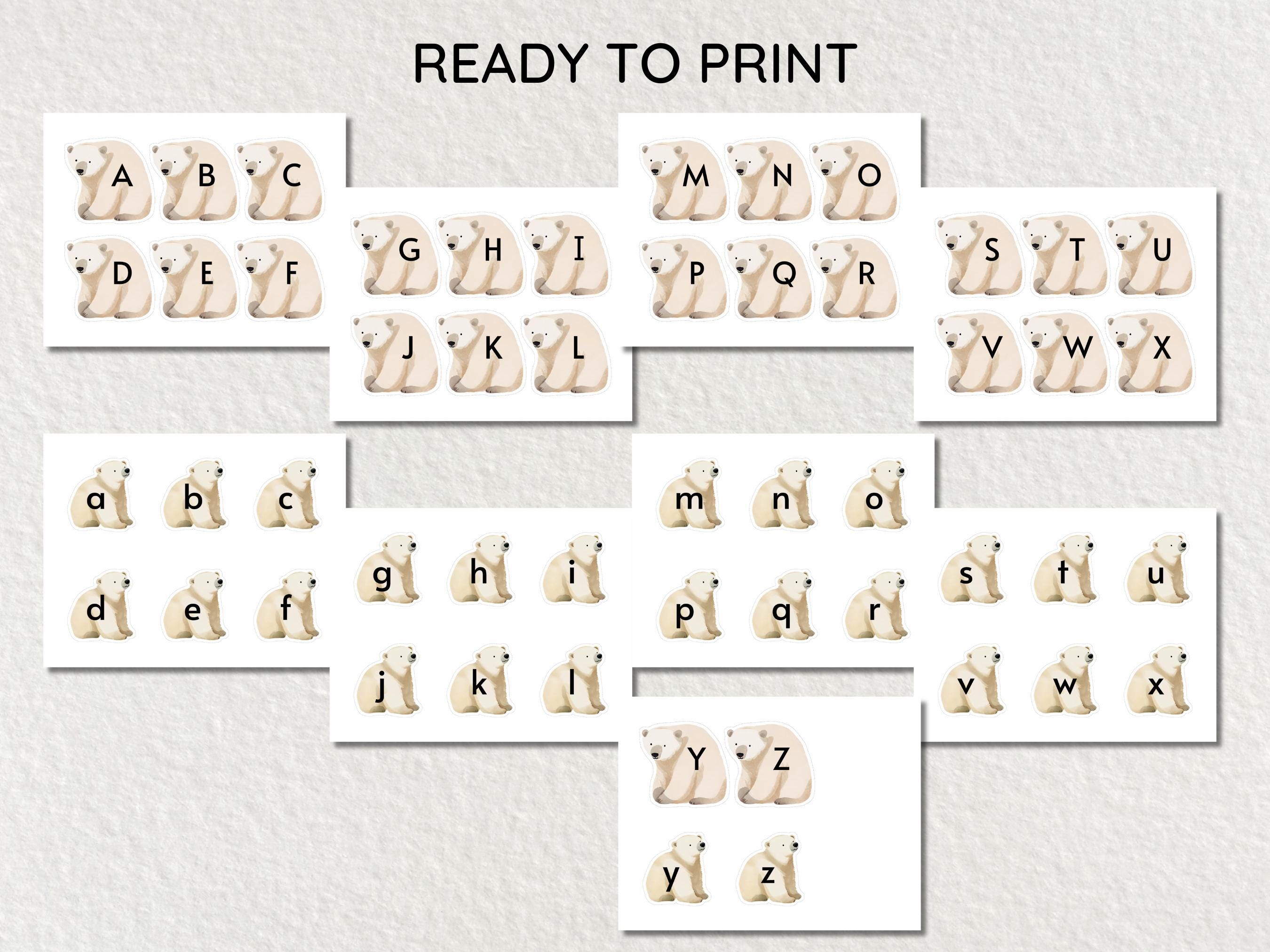 Polar Bear Letter Matching Cards, Alphabet Recognition Activity ...