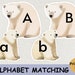 Polar Bear Letter Matching Cards, Alphabet Recognition Activity ...