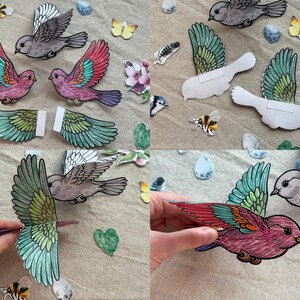 Spring Birds Matching Sorting Activity Pack, Spring Learning Worksheets ...