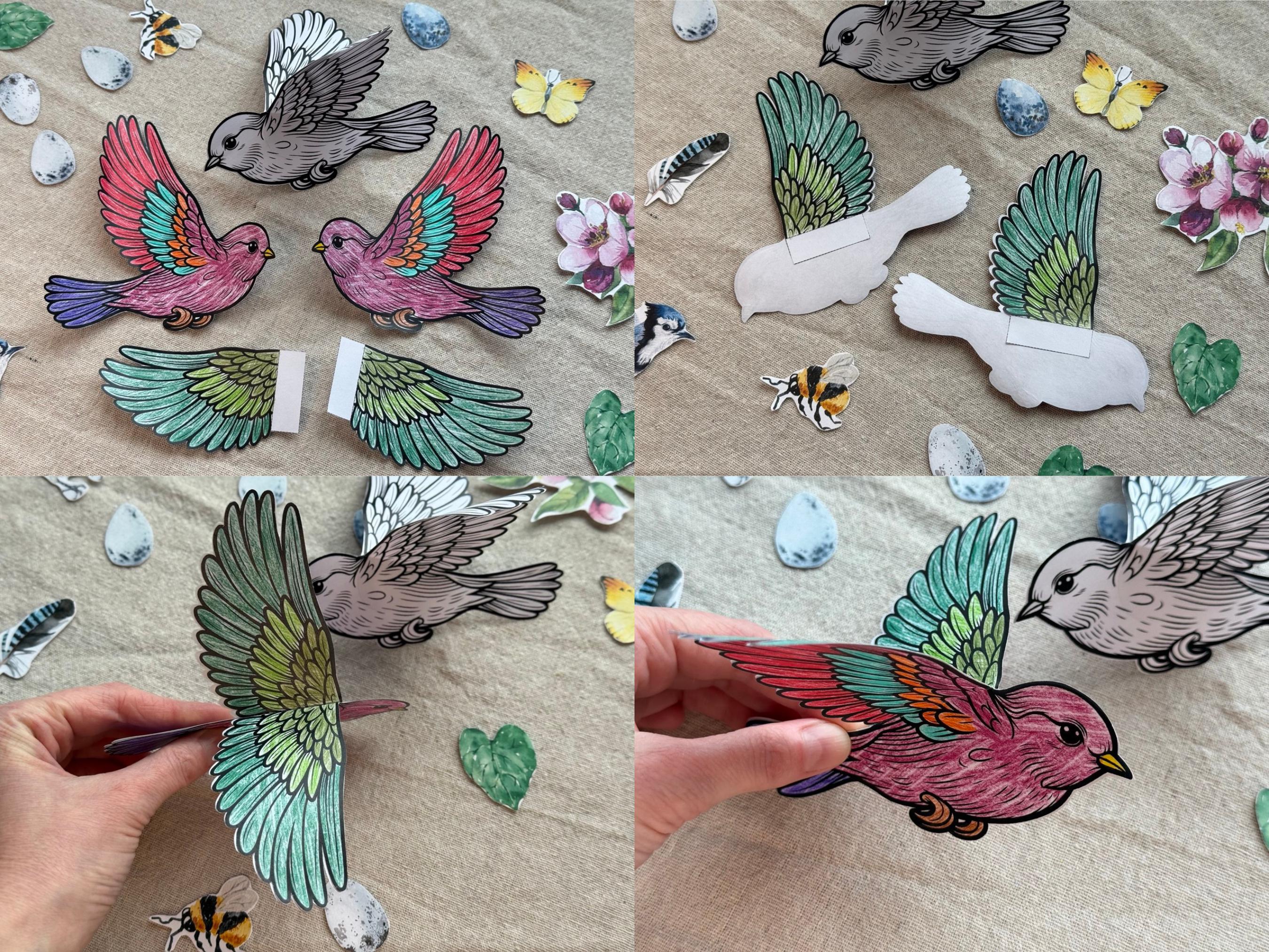 Spring Birds Matching Sorting Activity Pack, Spring Learning Worksheets ...