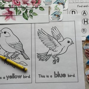 Spring Birds Matching Sorting Activity Pack, Spring Learning Worksheets ...