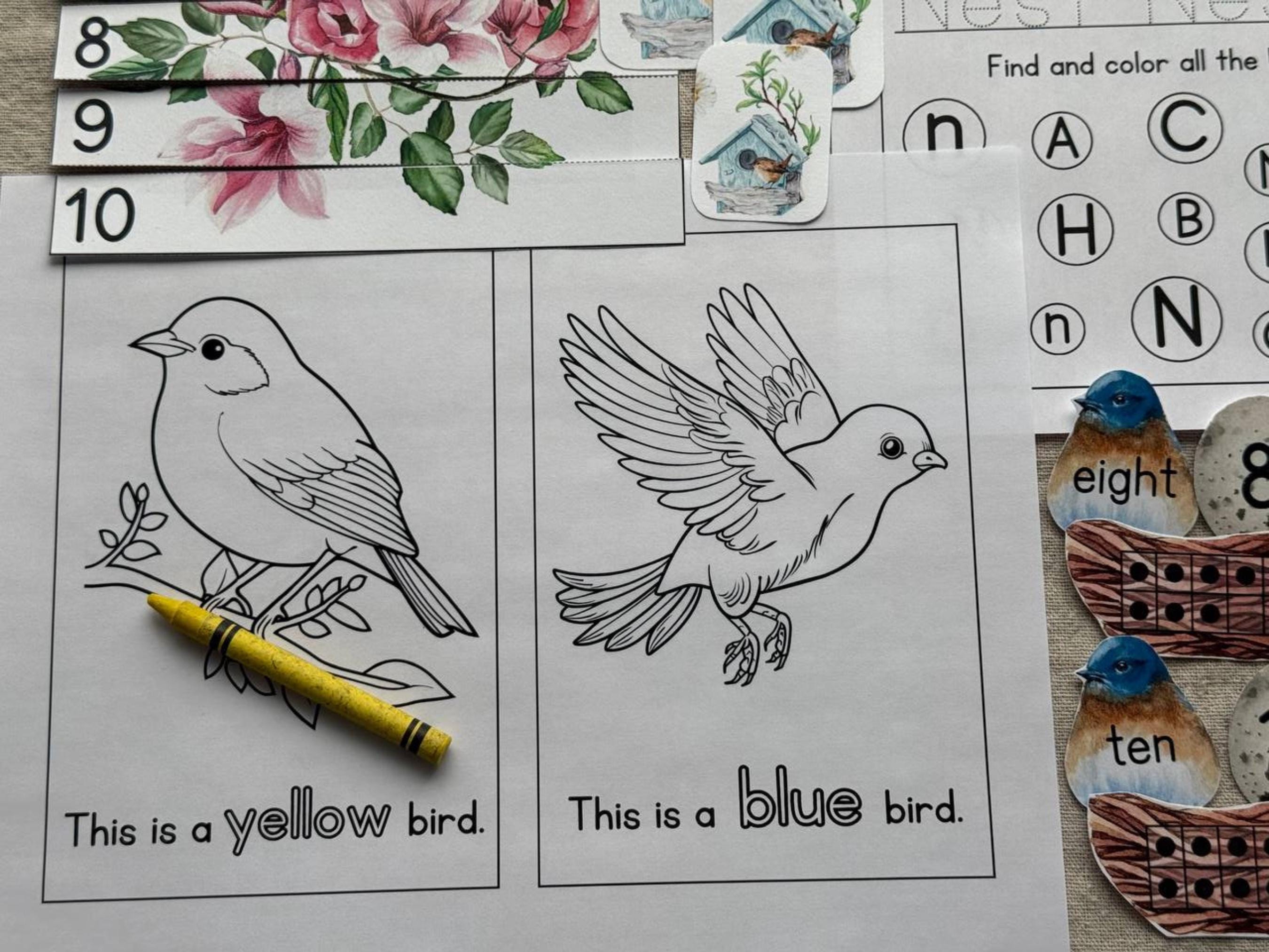 Spring Birds Matching Sorting Activity Pack, Spring Learning Worksheets ...