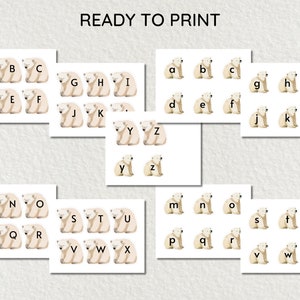 Polar Bear Letter Matching Cards, Alphabet Recognition Activity ...