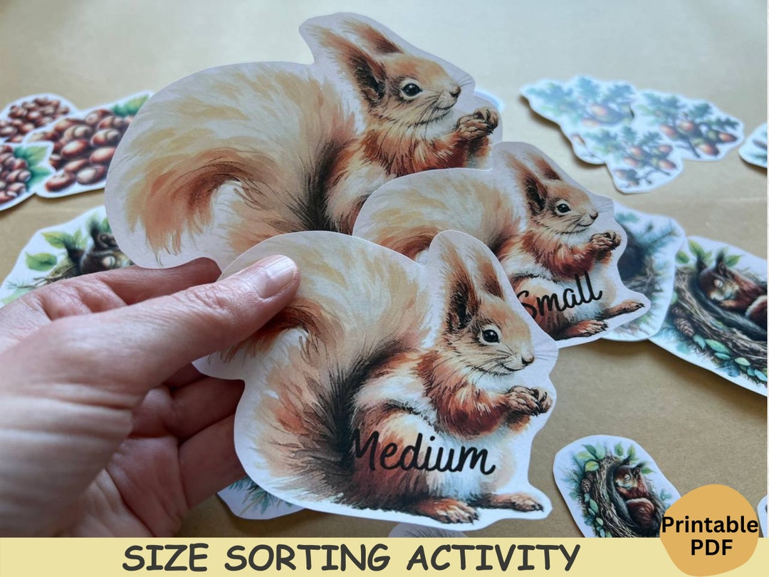 Squirrel Size Sorting Activity, Woodland Learning Sizes, Sort by Size ...