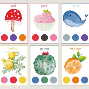 Colors Clip Cards, Colors Learning, Toddler Sorting Activity, Preschool ...
