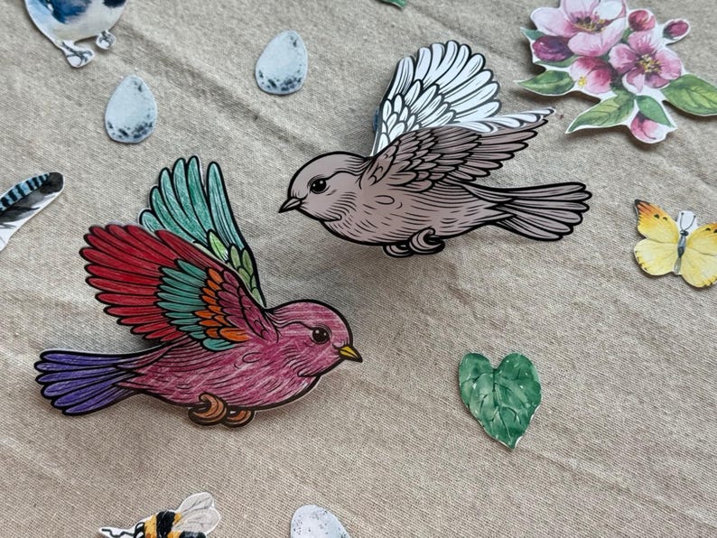 Spring Birds Matching Sorting Activity Pack, Spring Learning Worksheets ...