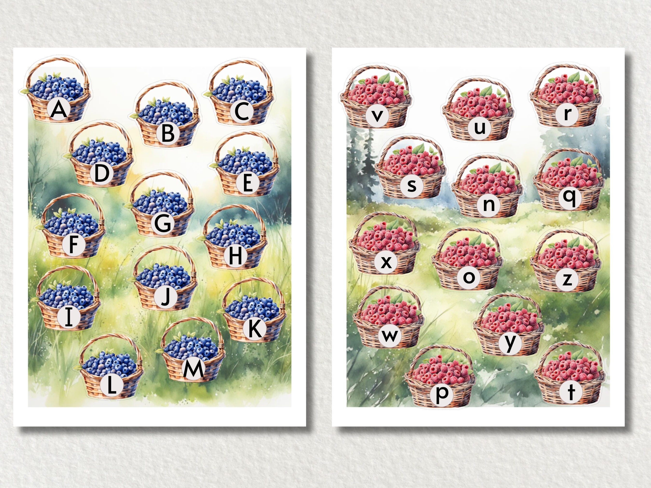 Nature Letter Matching Cards, Alphabet Recognition Activity, Montessori ...