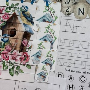 Spring Birds Matching Sorting Activity Pack, Spring Learning Worksheets ...