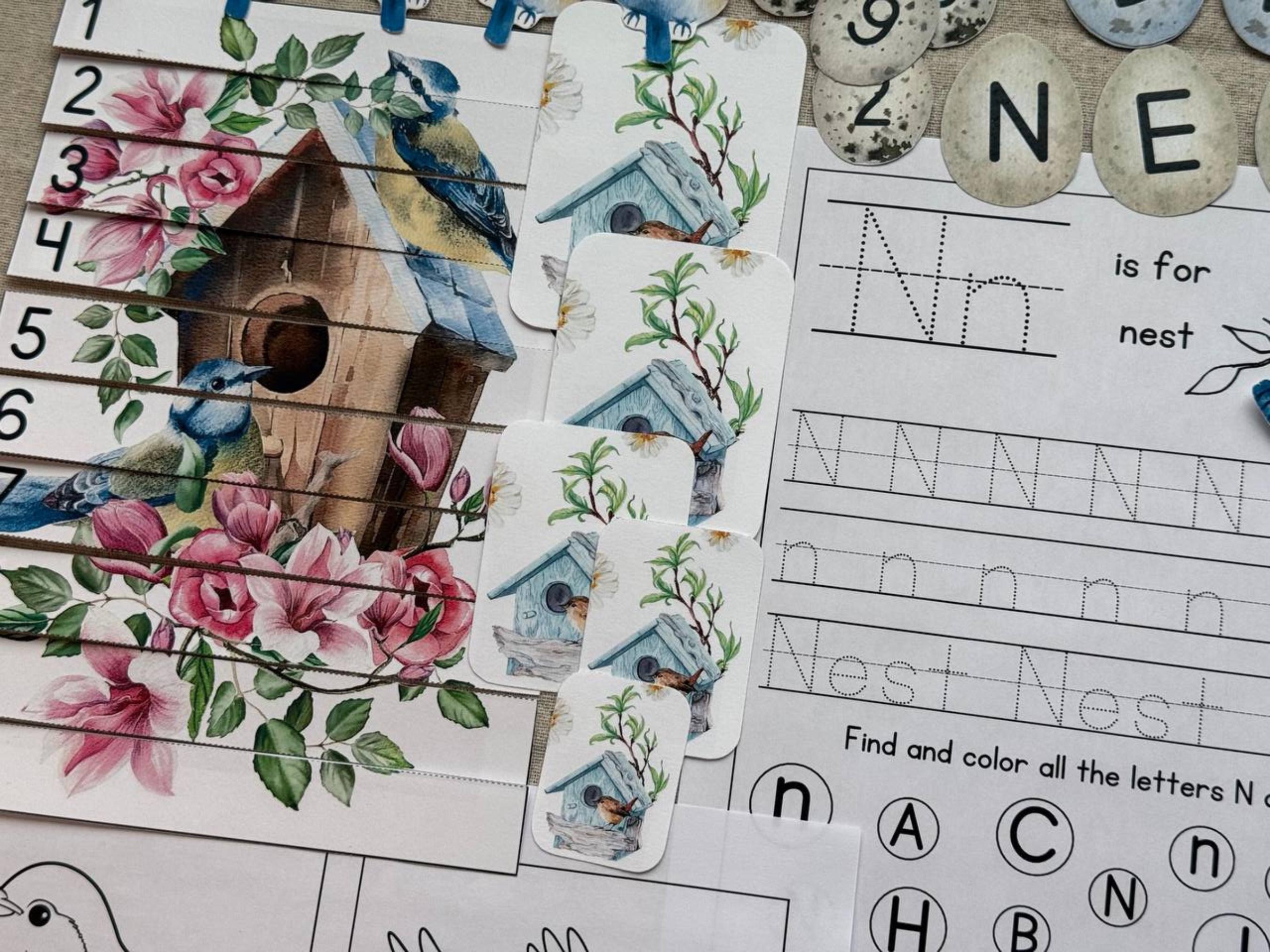 Spring Birds Matching Sorting Activity Pack, Spring Learning Worksheets ...