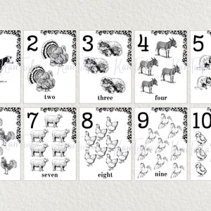Farm Numbers 1 to 10 Flash Cards Printable, Nature Flashcards, Counting ...