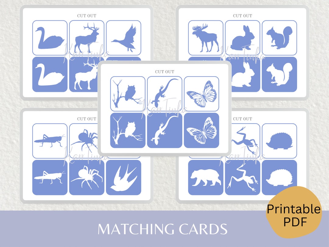 Nature Silhouette Matching Cards, Toddler Sorting Activity, Preschool ...