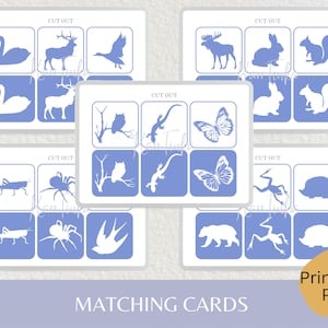Nature Silhouette Matching Cards, Toddler Sorting Activity, Preschool ...