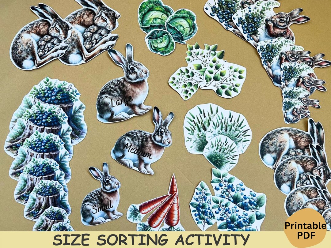 Forest Hare Size Sorting Activity, Woodland Rabbit Learning Sizes, Sort ...