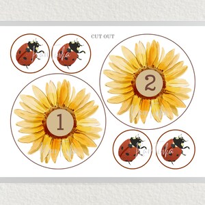 Numbers 1 to 5 Count, Toddler Counting Activity, Preschool Count Game ...