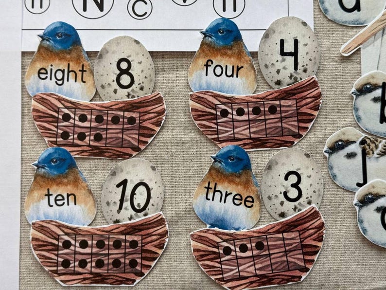 Spring Birds Matching Sorting Activity Pack, Spring Learning Worksheets ...