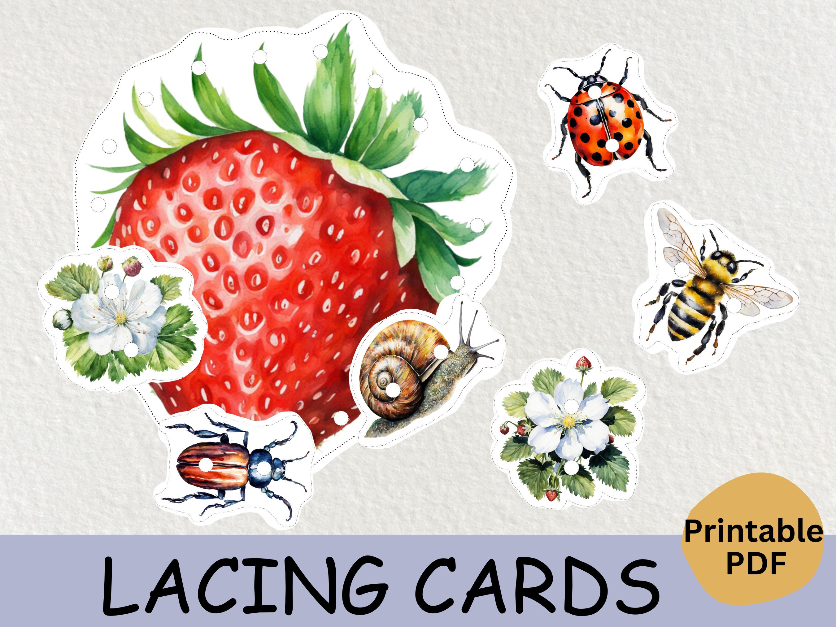 Spring Beetle Lacing Cards, Insects Preschool Fine Motor Activity, Hand ...