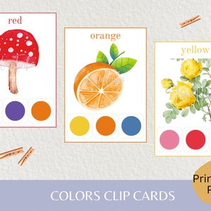 Colors Clip Cards, Colors Learning, Toddler Sorting Activity, Preschool ...