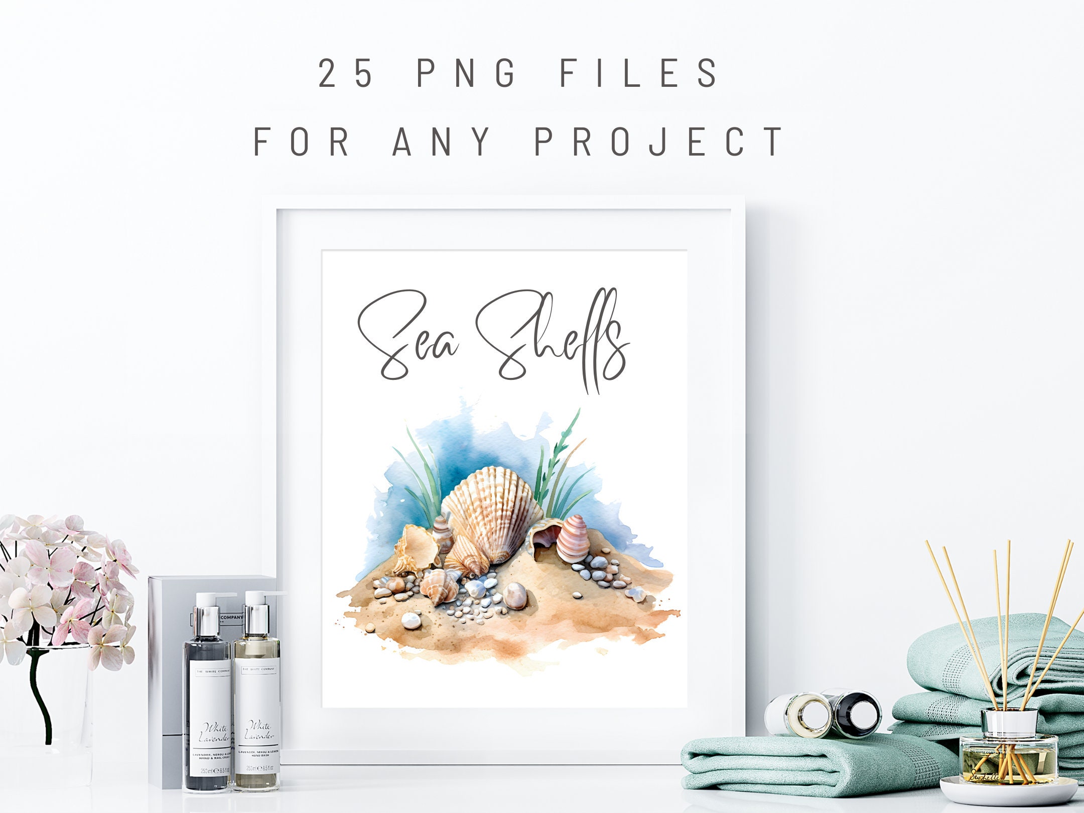 Watercolor Sea Shells Clipart 25 Png Files Bundle 2, Ocean Nautical ...