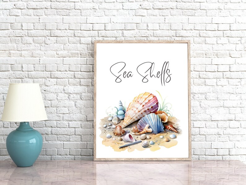 Watercolor Sea Shells Clipart 25 Png Files Bundle 1, Ocean Nautical ...