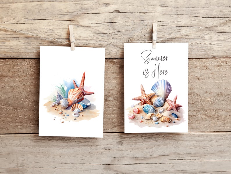 Watercolor Sea Shells Clipart 25 Png Files Bundle 2, Ocean Nautical ...