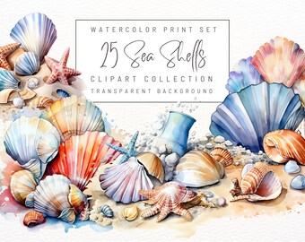 Watercolor Sea Shells Clipart 25 Png Files Bundle 1, Ocean Nautical ...