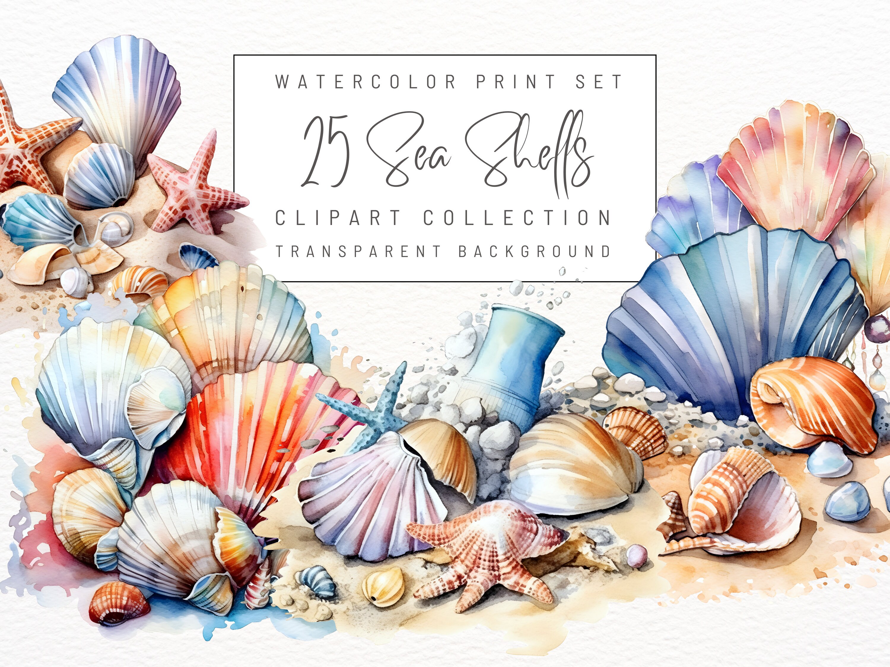 Watercolor Sea Shells Clipart 25 Png Files Bundle 2, Ocean Nautical ...