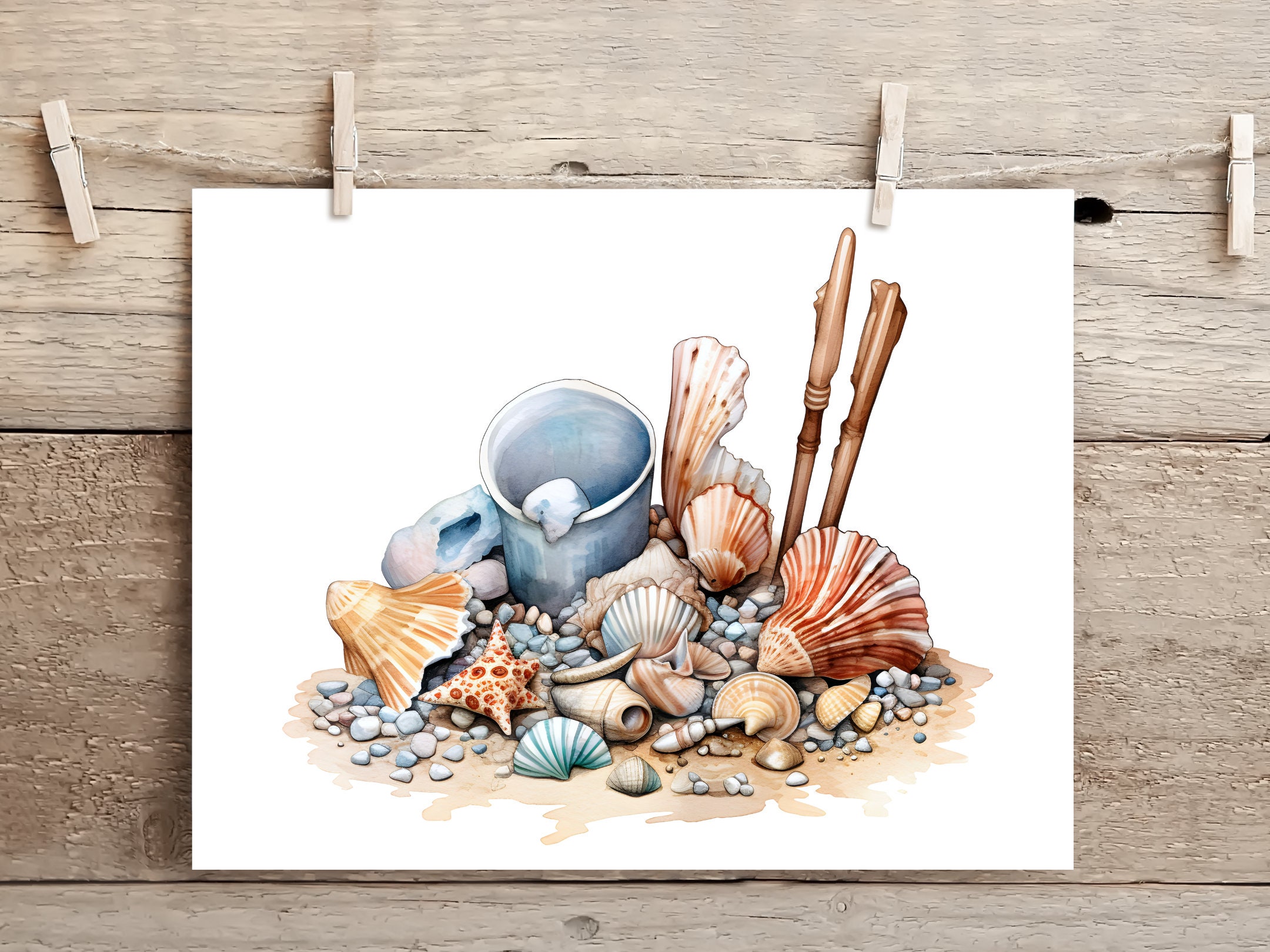 Watercolor Sea Shells Clipart 25 Png Files Bundle 1, Ocean Nautical ...