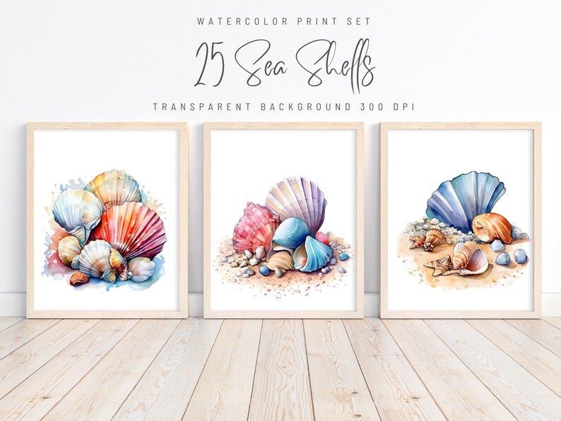Watercolor Sea Shells Clipart 25 Png Files Bundle 2, Ocean Nautical ...