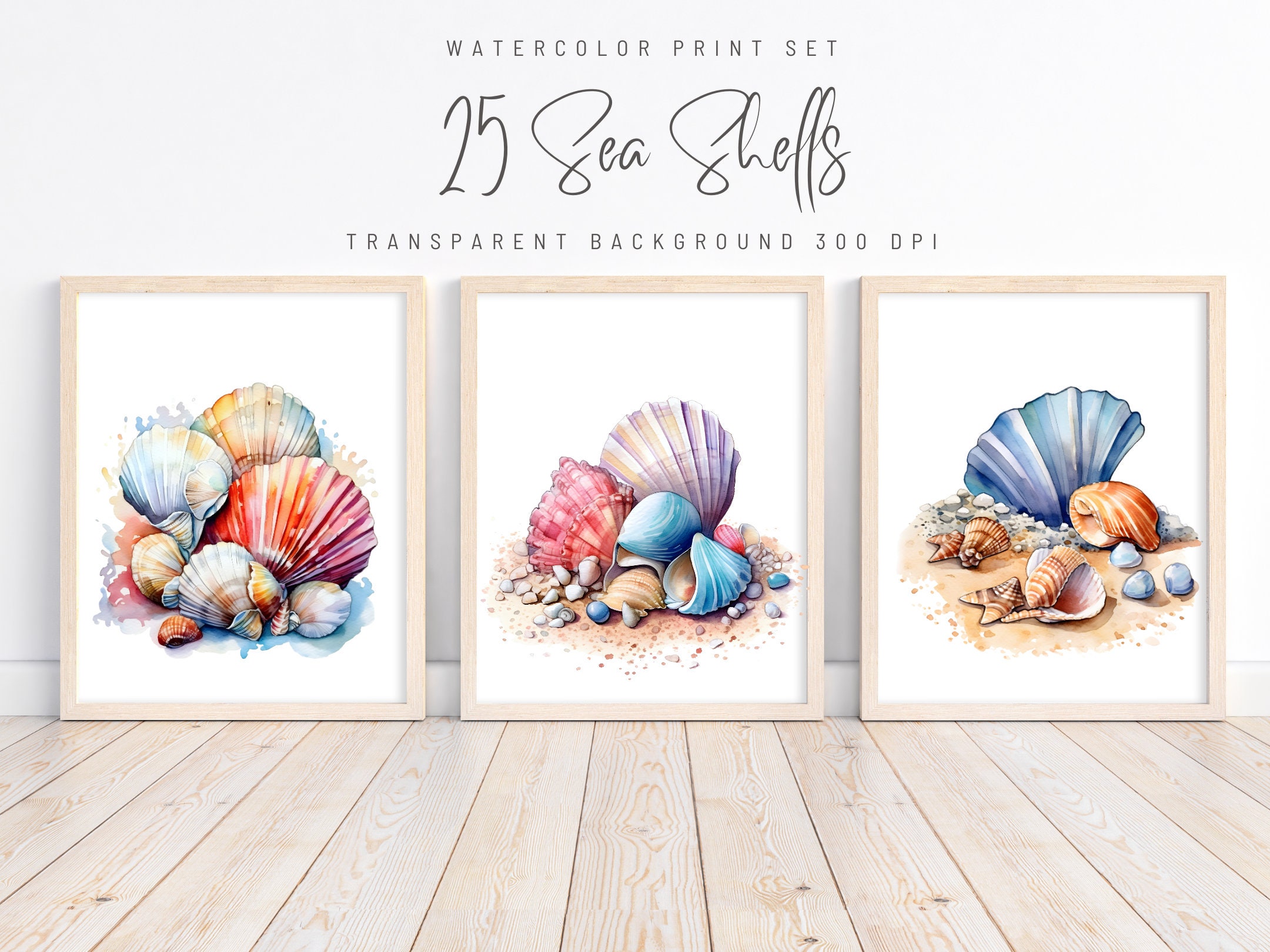 Watercolor Sea Shells Clipart 25 Png Files Bundle 2, Ocean Nautical ...